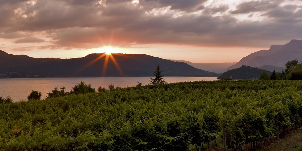 Grand Lac Agglomération - La plateforme de télédéclaration de la taxe ...